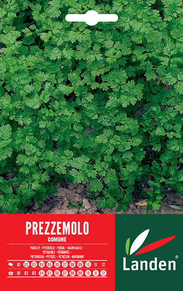 Prezzemolo comune - Landen