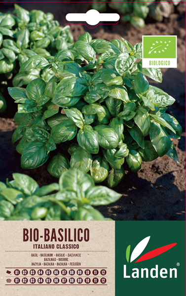 Basilico italiano classico bio - Landen