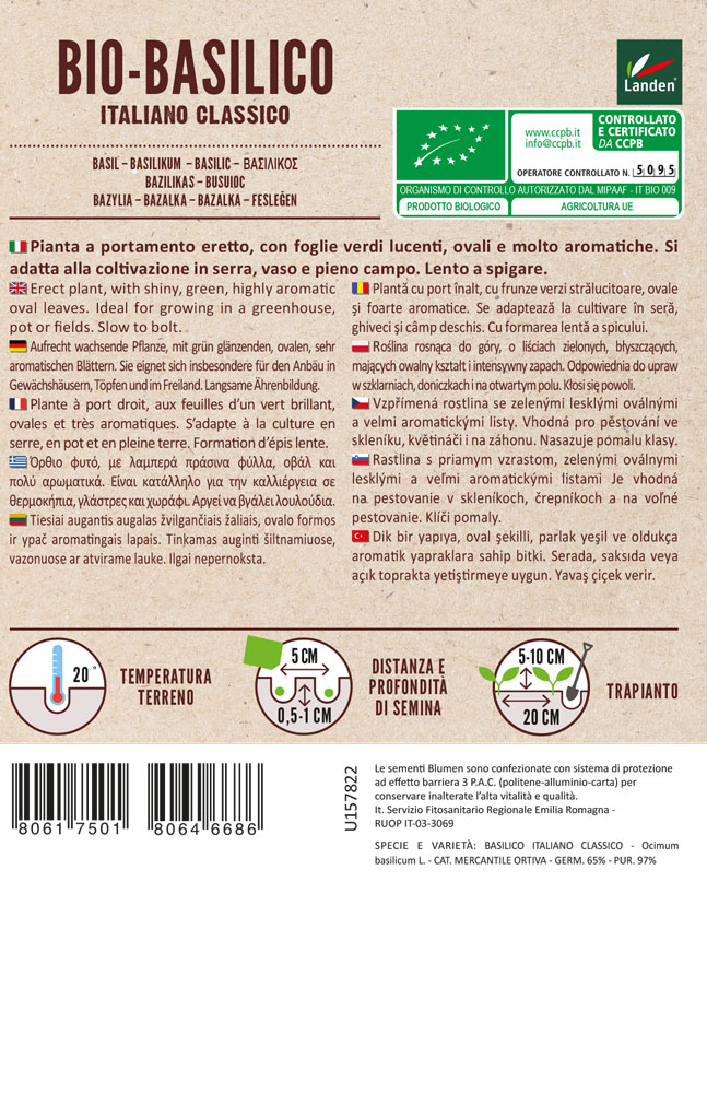 Basilico italiano classico bio - Landen