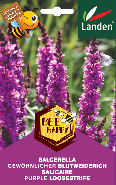 Salcerella - Landen